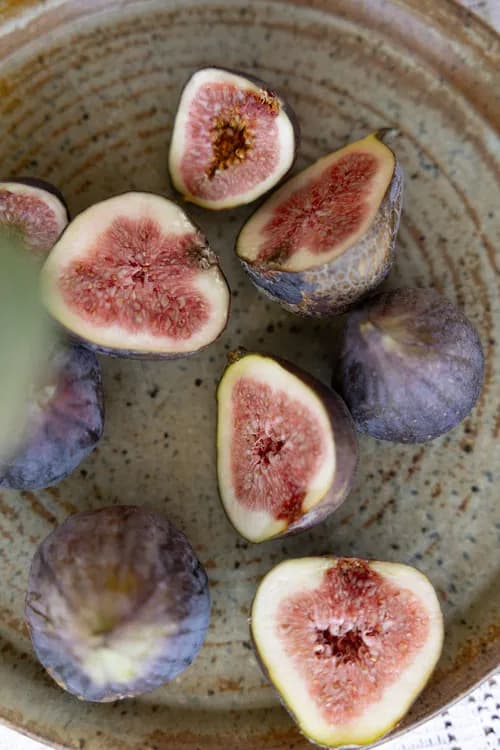 Nutritional Support healthcare services - personalized wellness solutions